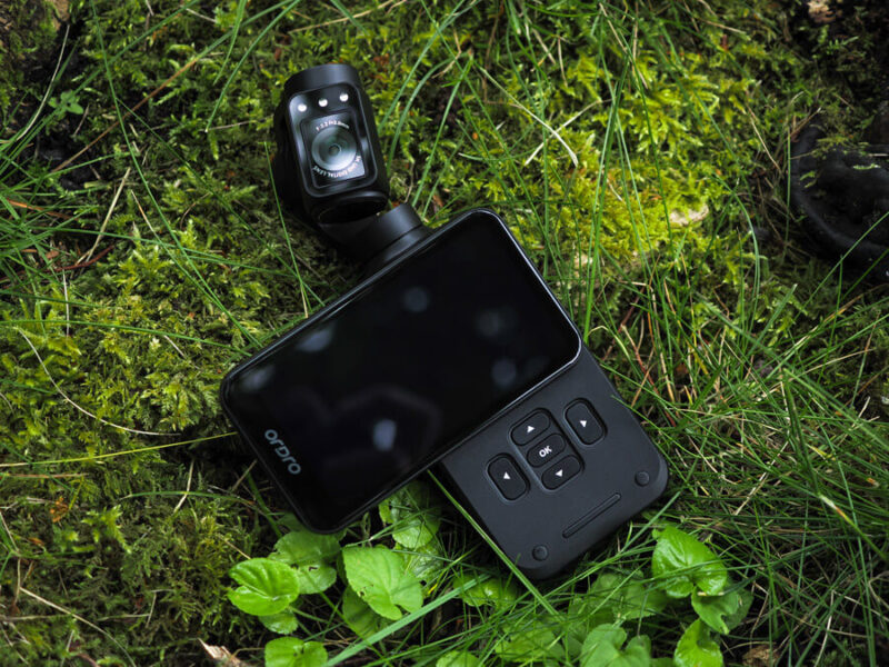 Review: Documenting Macro Fieldtrips - Ordro M5 5K Vlog Camera ...