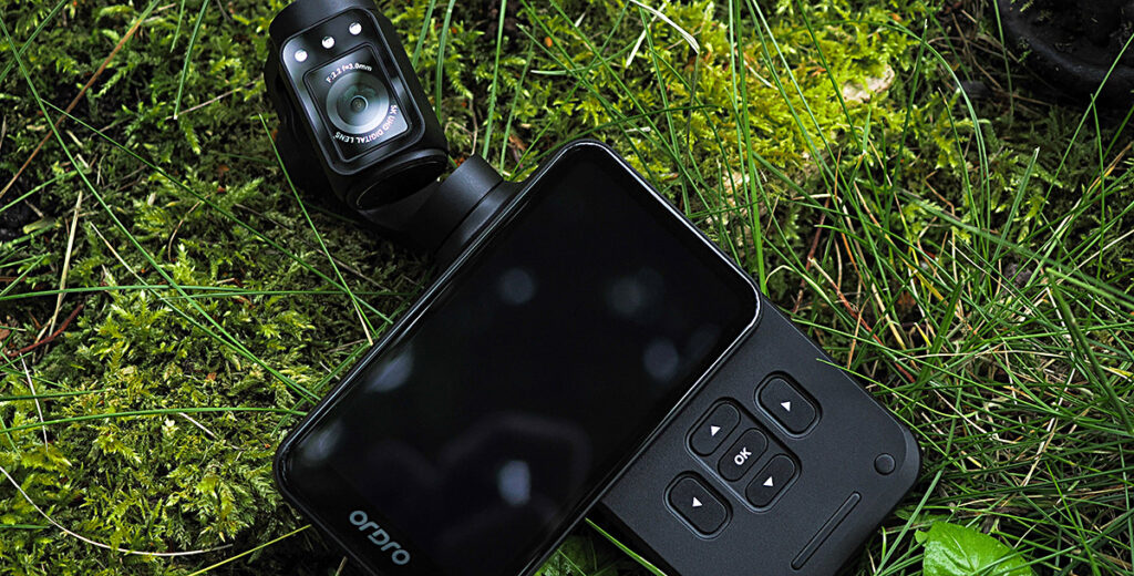 Review: Documenting Macro Fieldtrips - Ordro M5 5K Vlog Camera - wildmacro - extreme macro ...