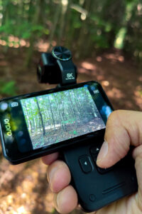 Review: Documenting Macro Fieldtrips - Ordro M5 5K Vlog Camera - wildmacro - extreme macro ...