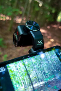 Review: Documenting Macro Fieldtrips - Ordro M5 5K Vlog Camera - wildmacro - extreme macro ...