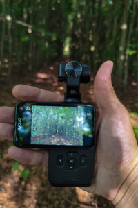 Review: Documenting Macro Fieldtrips - Ordro M5 5K Vlog Camera - wildmacro - extreme macro ...