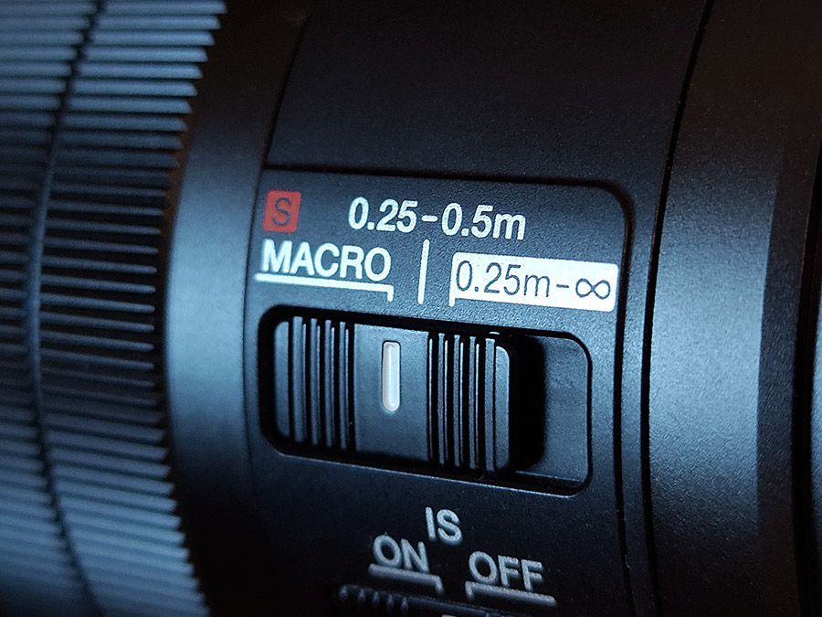 Best tips to master the OM System M.Zuiko 90mm IS PRO Macro - wildmacro - extreme macro photography