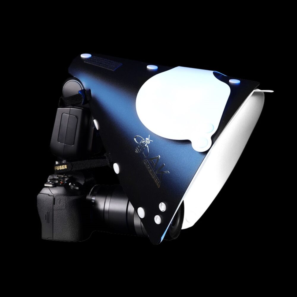 The Best Flash Diffusers for Macro Photography - wildmacro - extreme ...