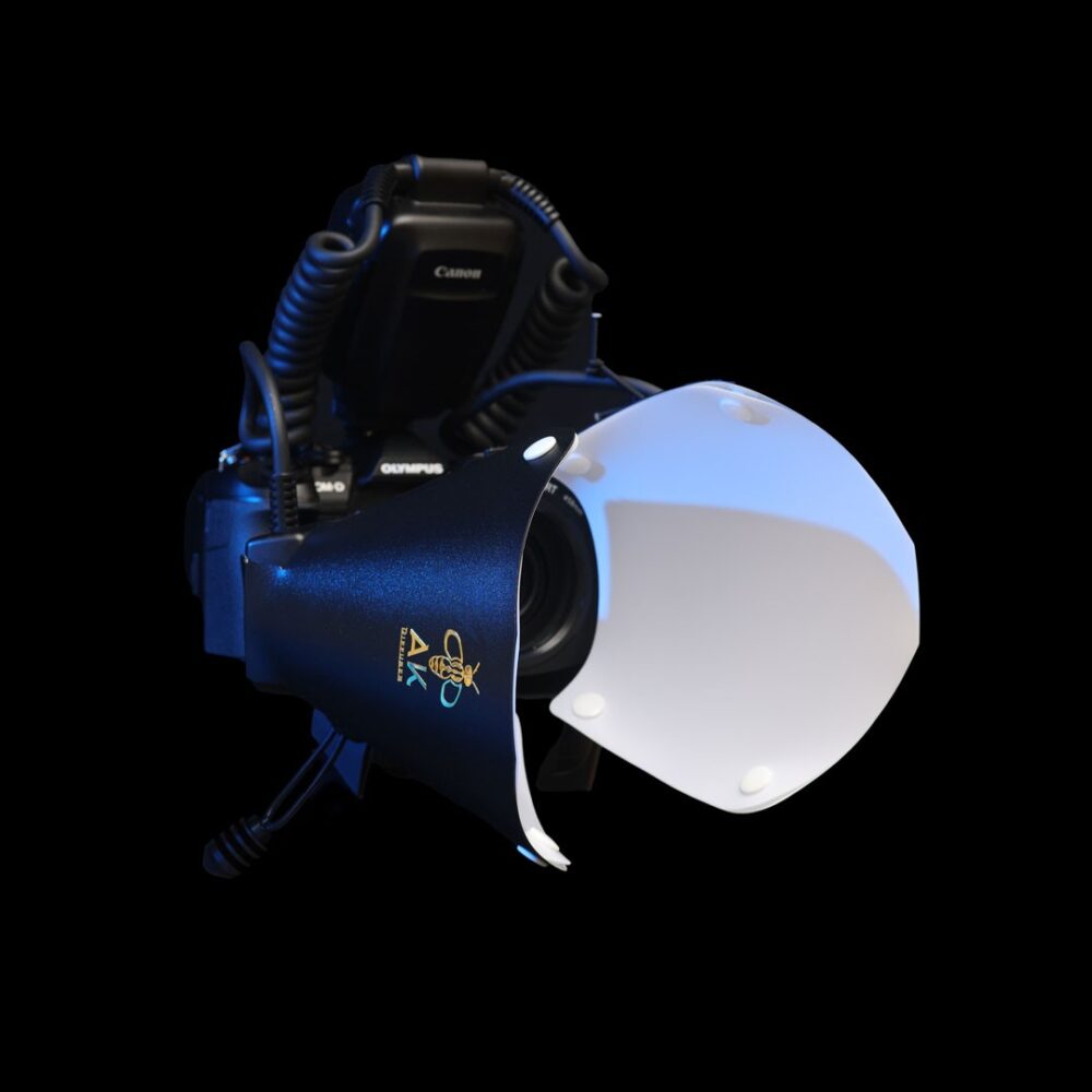 The Best Flash Diffusers for Macro Photography - wildmacro - extreme macro photography