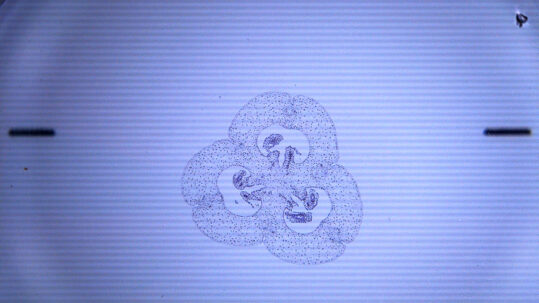 Review: DARWIN M2 Digital Microscope from Beaverlab - wildmacro ...