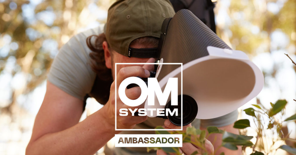 Blog - wildmacro - extreme macro photography