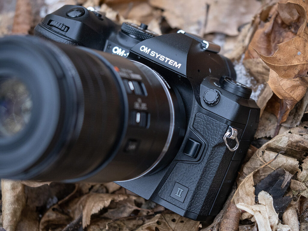 Test: OM SYSTEM OM-1 II Ersteindruck - wildmacro - extreme macro ...