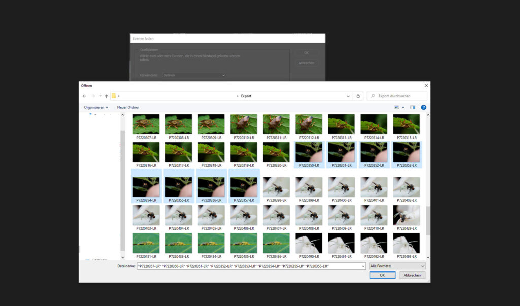 How to get sharper macro photos with focus stacking - wildmacro - extreme macro photography