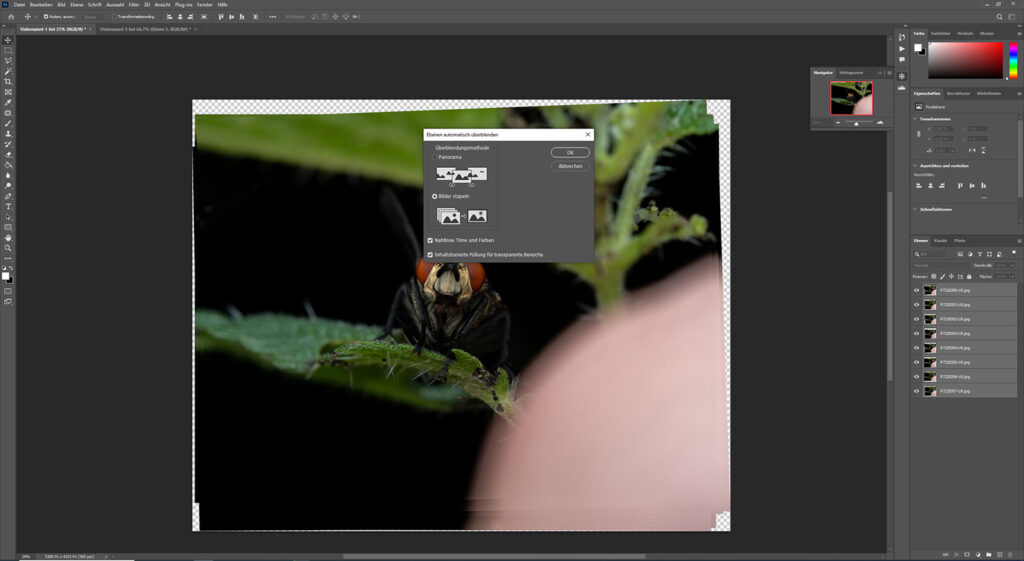 How to get sharper macro photos with focus stacking - wildmacro ...