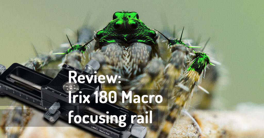 Blog - wildmacro - extreme macro photography