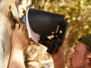 What is the best flash for macro photography? - wildmacro - extreme ...