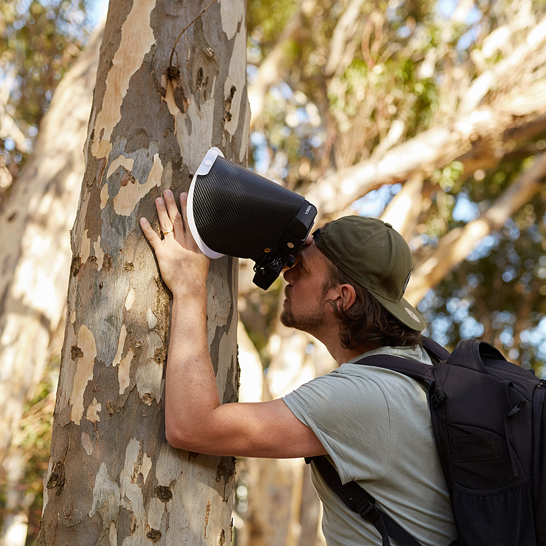 OM System Ambassador - wildmacro - extreme macro photography