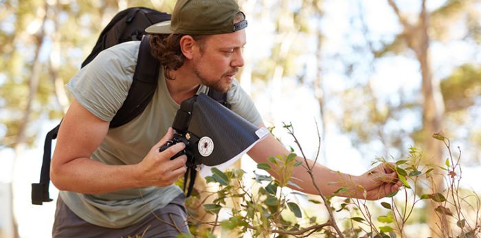 What is the best flash for macro photography? - wildmacro - extreme ...