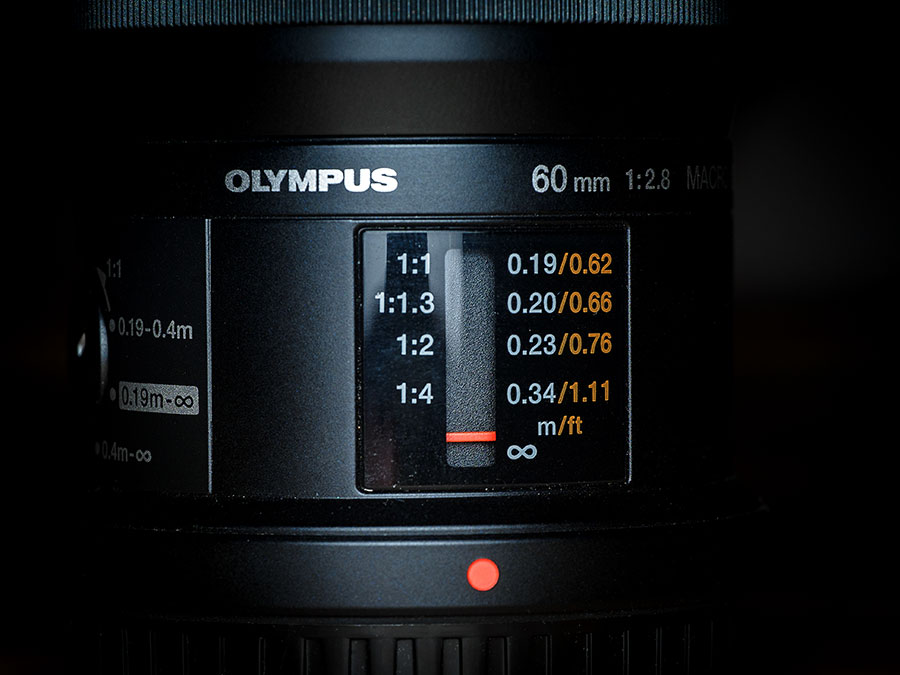 Best tips to master the OM System M.Zuiko 60mm Macro - wildmacro ...